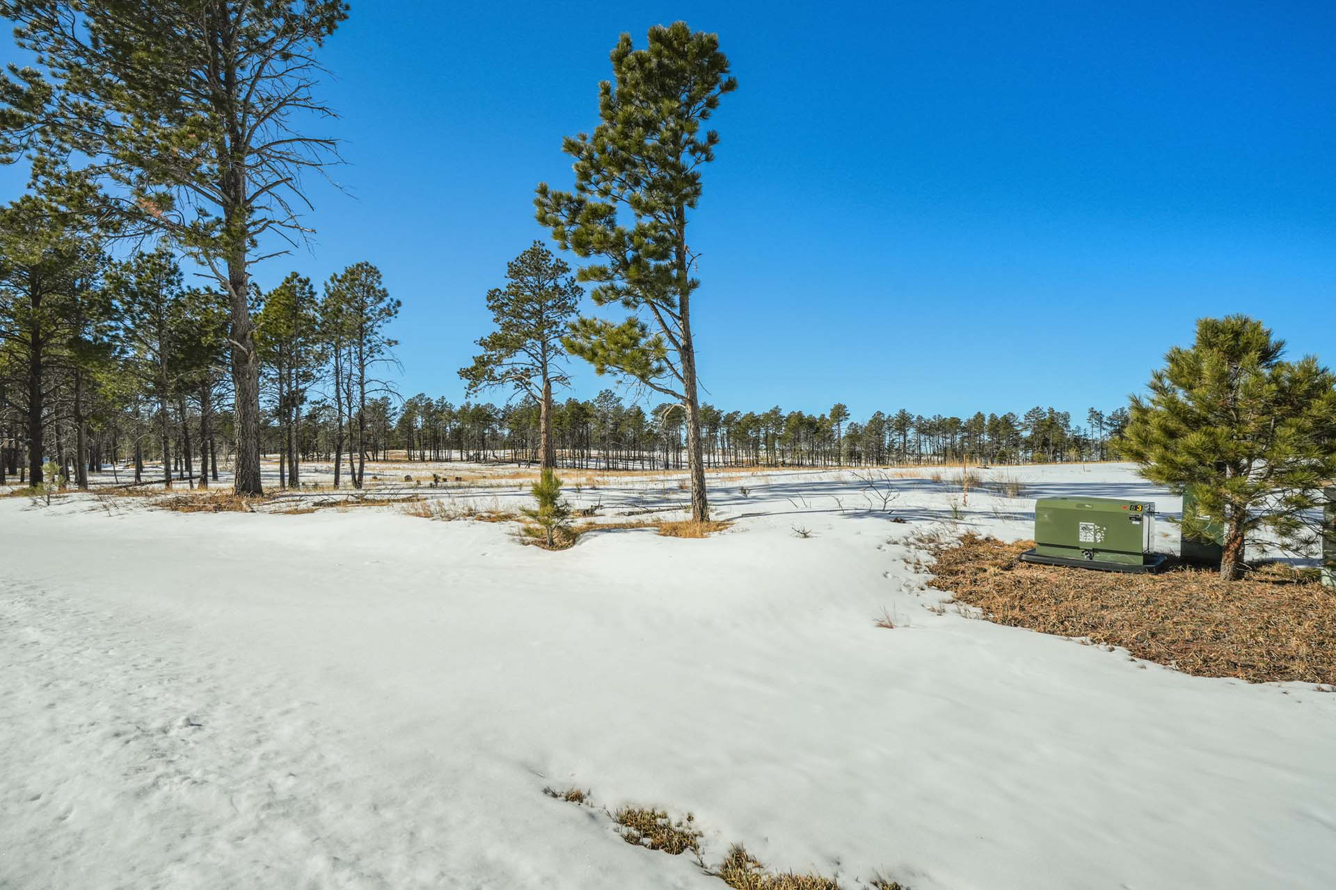 14854 Snowy Pine Pt presented by Jason Arends – FēD