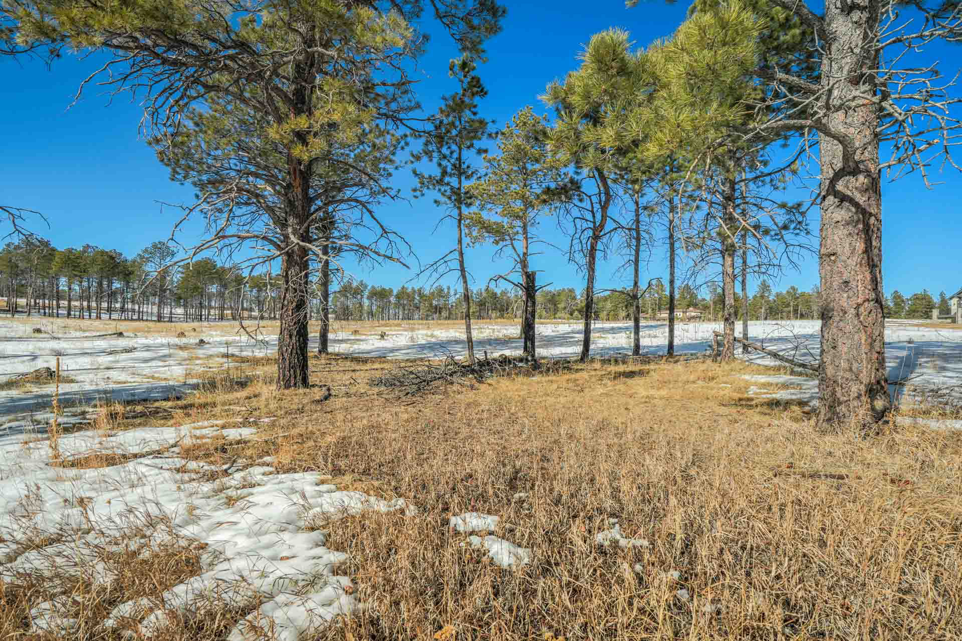 14854 Snowy Pine Pt presented by Jason Arends – FēD