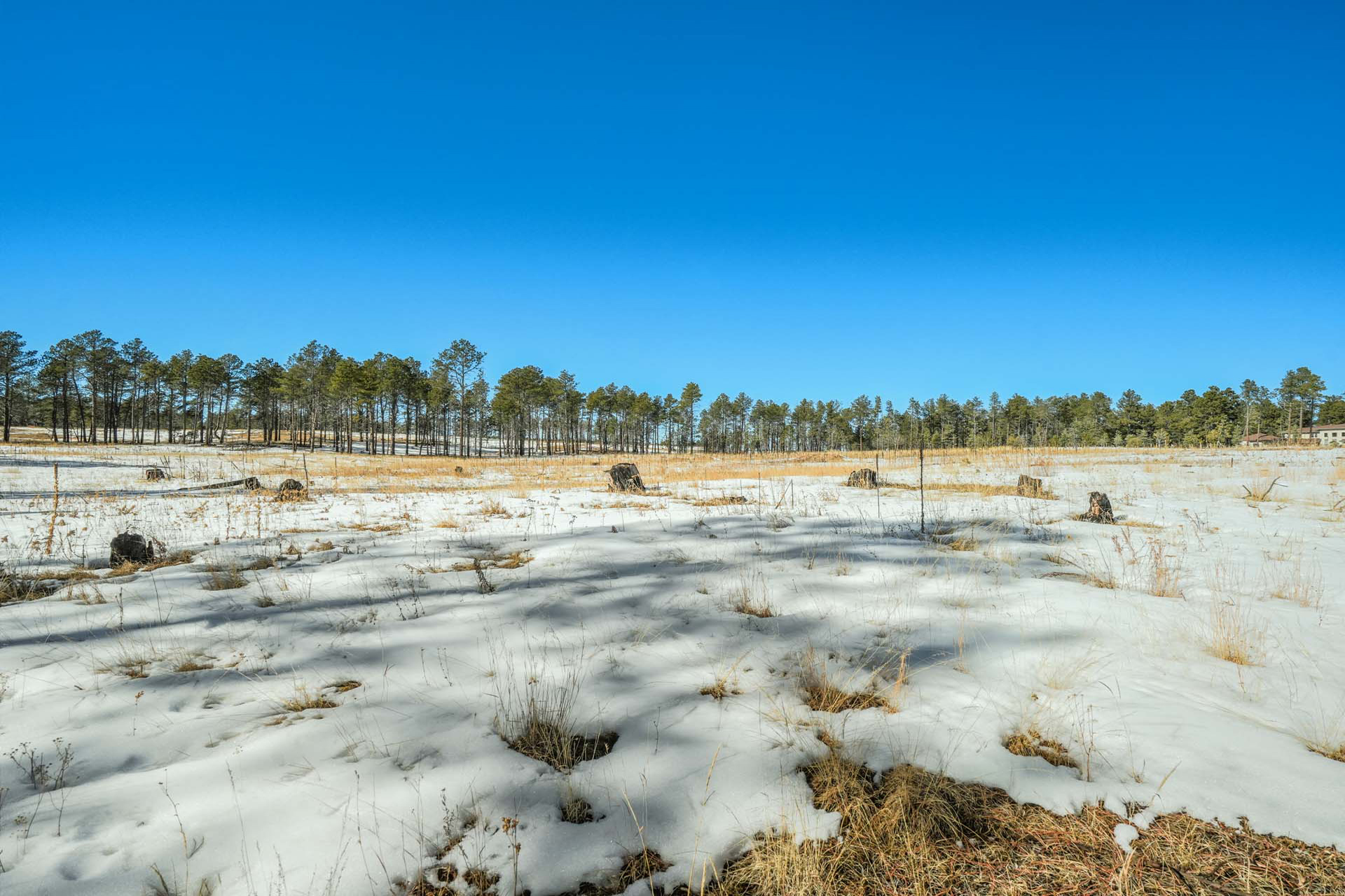 14854 Snowy Pine Pt presented by Jason Arends – FēD