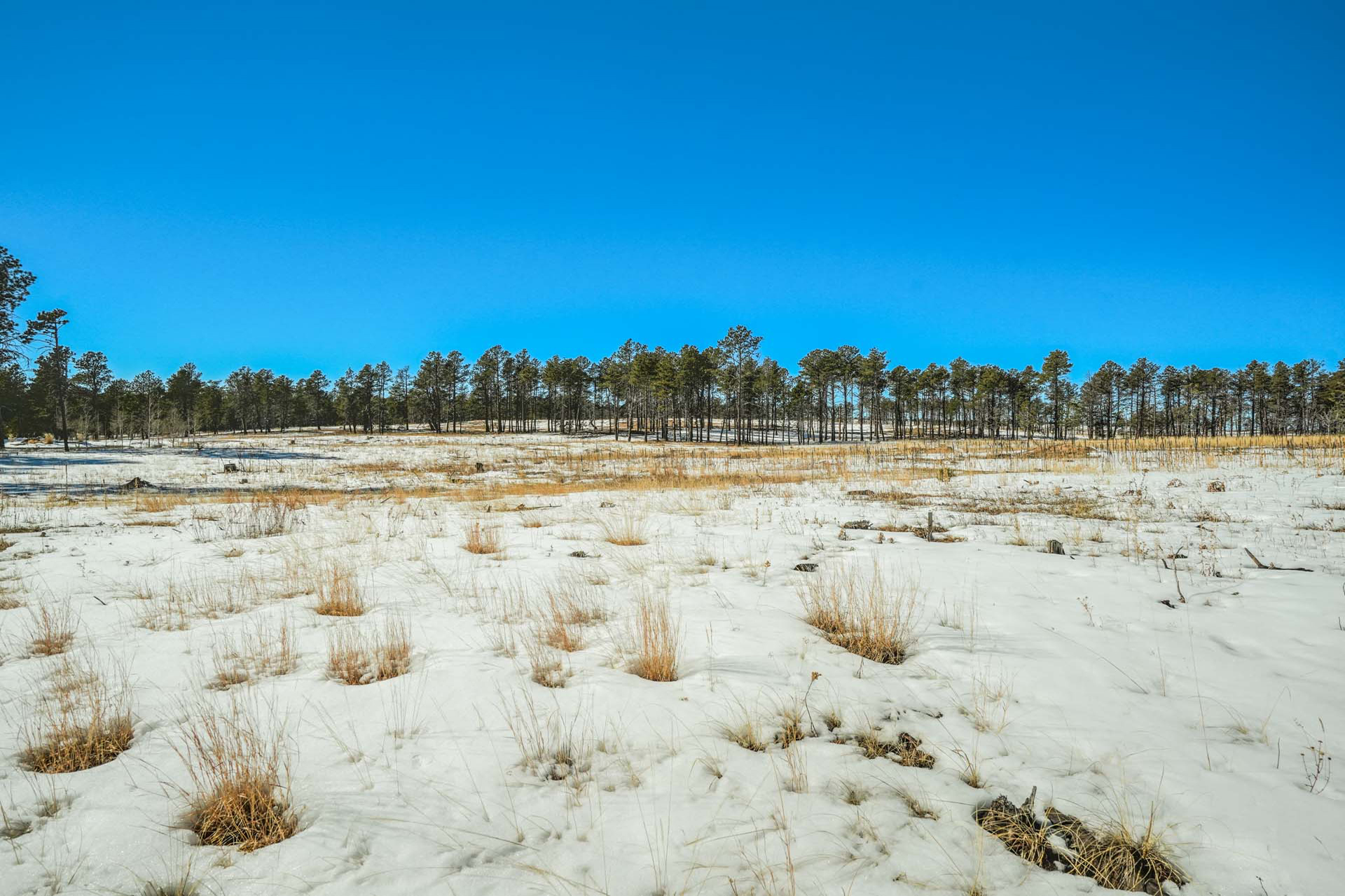 14854 Snowy Pine Pt presented by Jason Arends – FēD