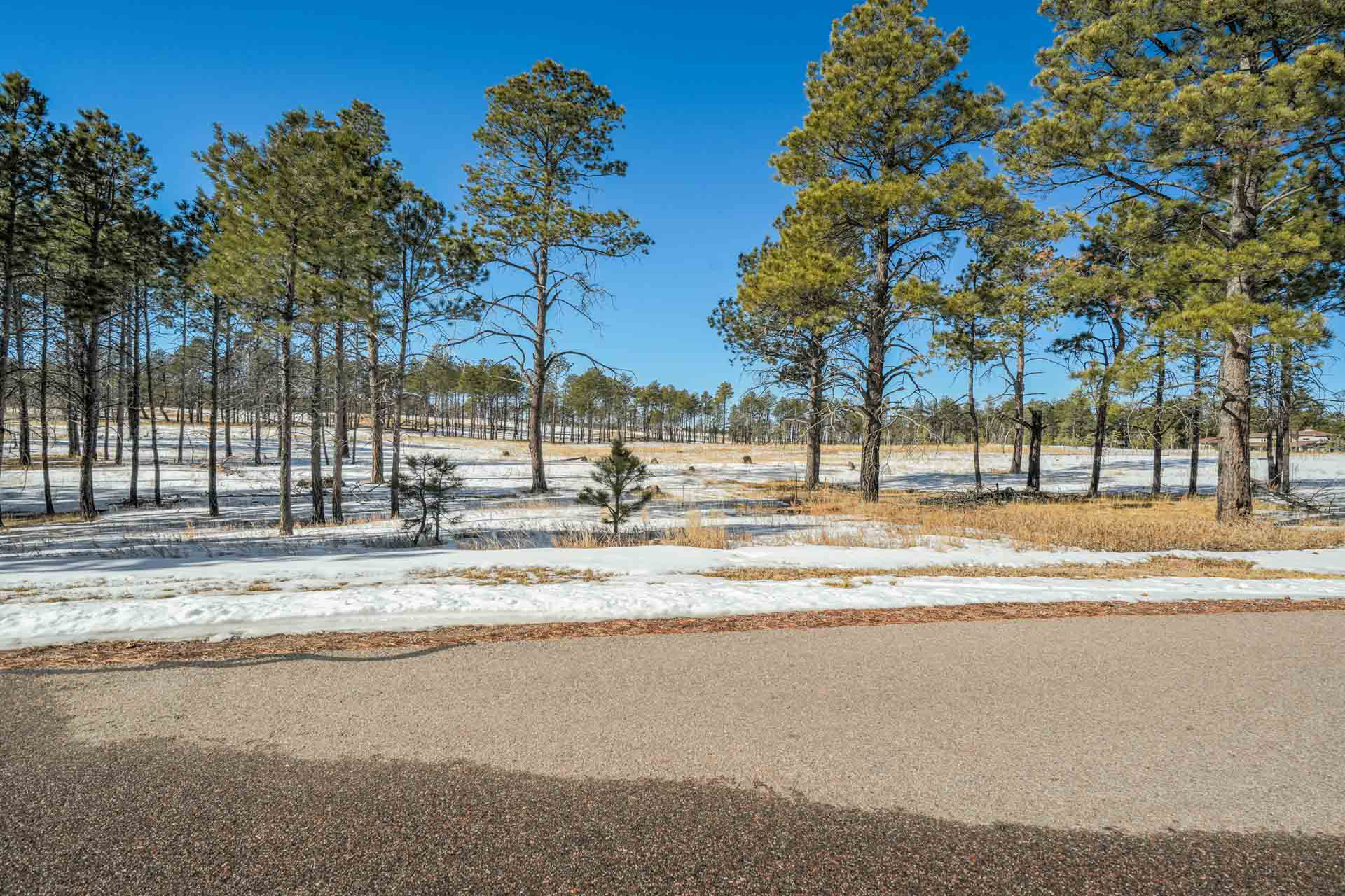 14854 Snowy Pine Pt presented by Jason Arends – FēD