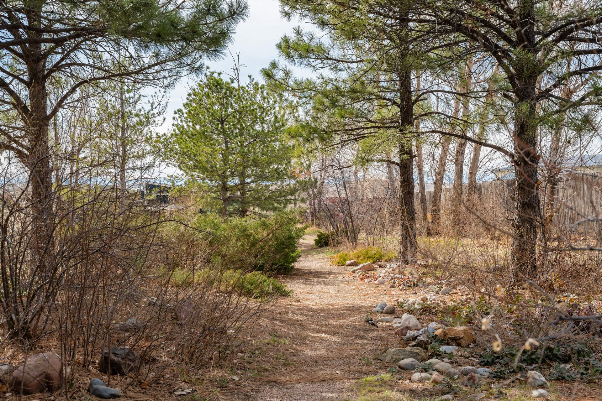 44626 Lariat Trail – FēD