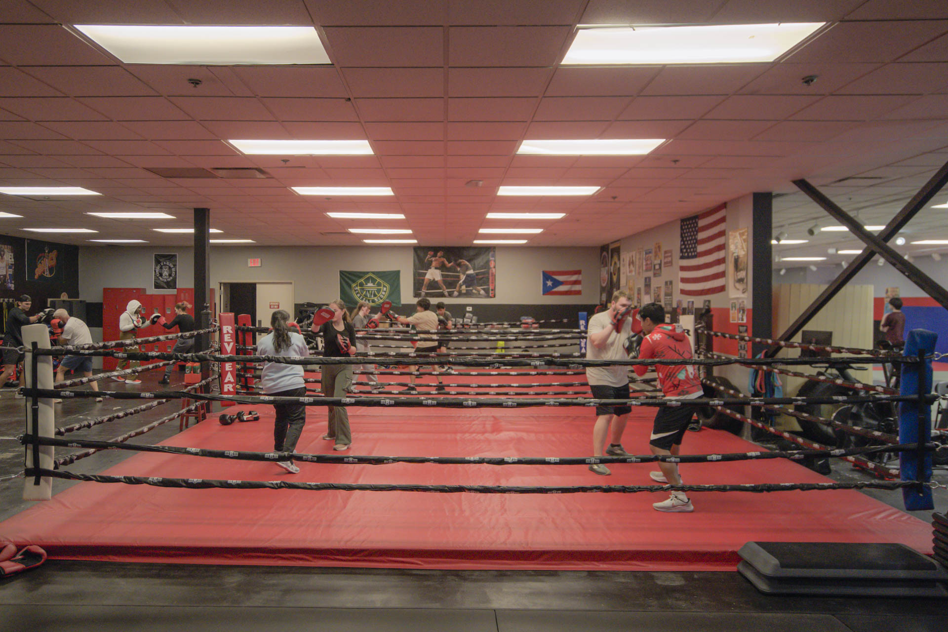 Boxing With Love – FēD