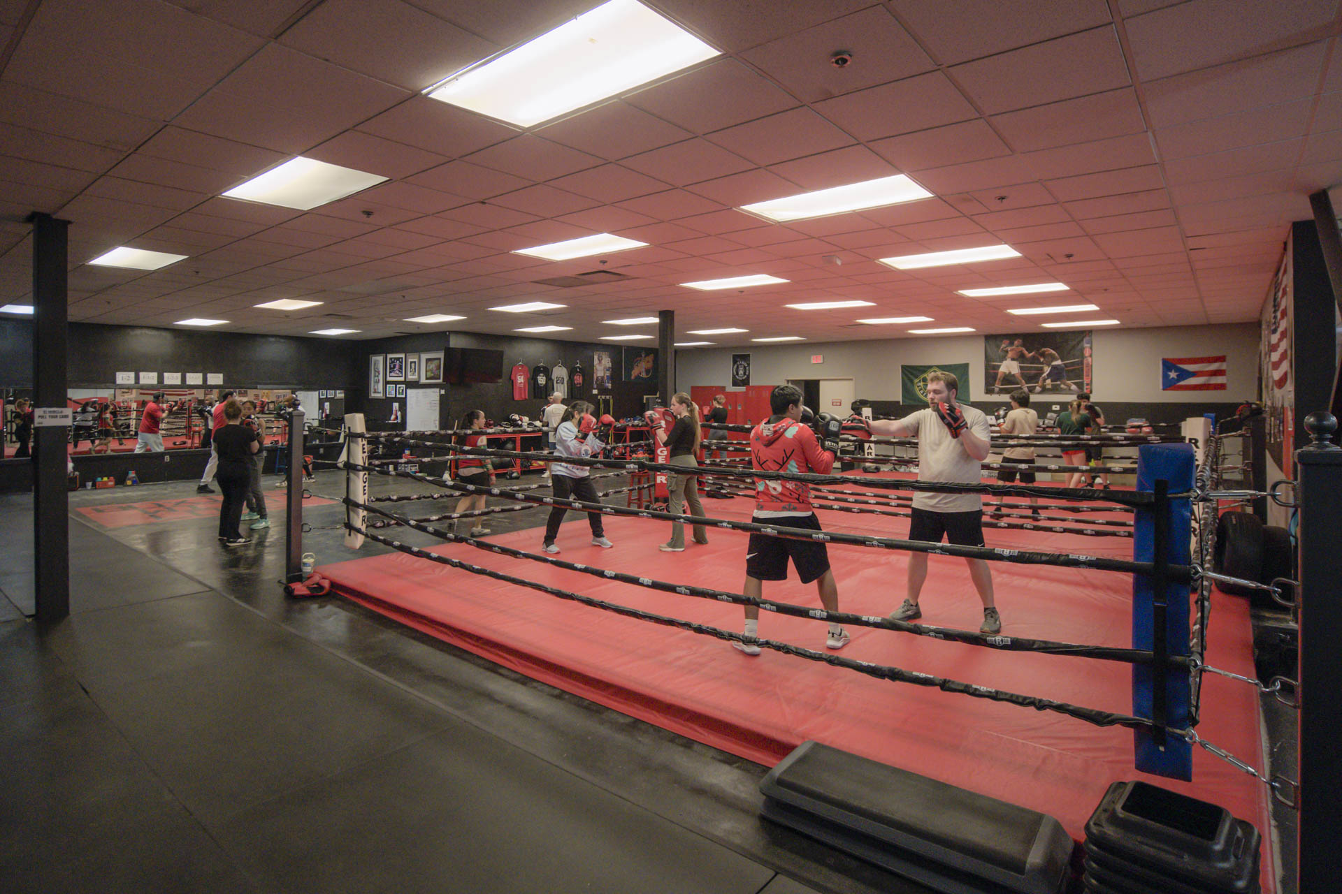 Boxing With Love – FēD